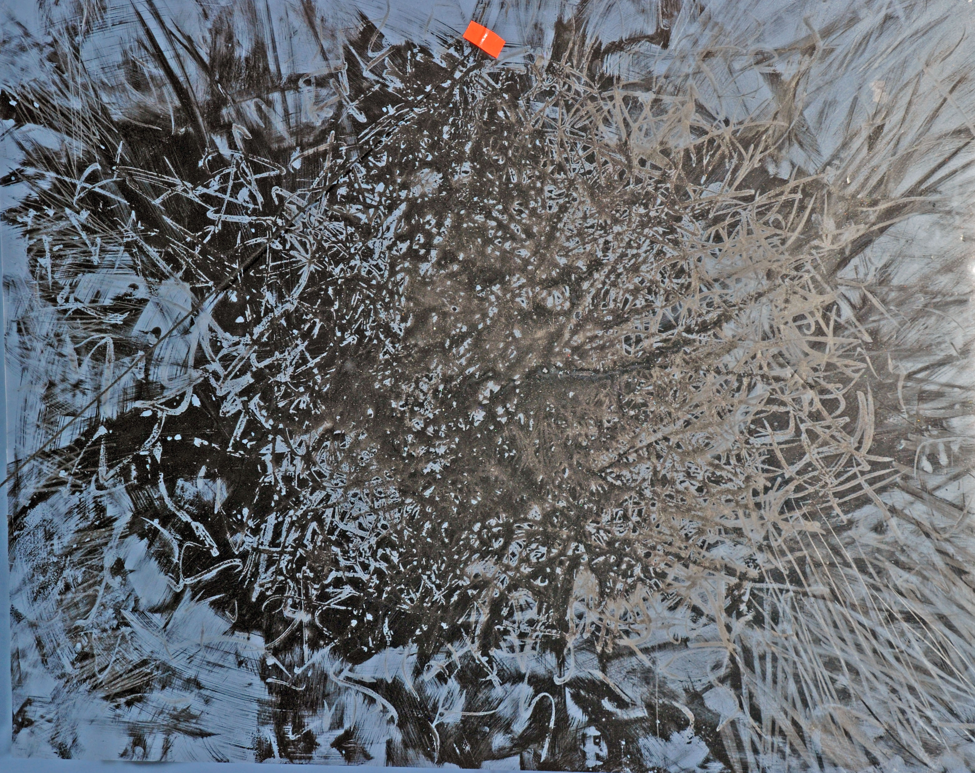 Mapping Scales of Life – Patti Pente