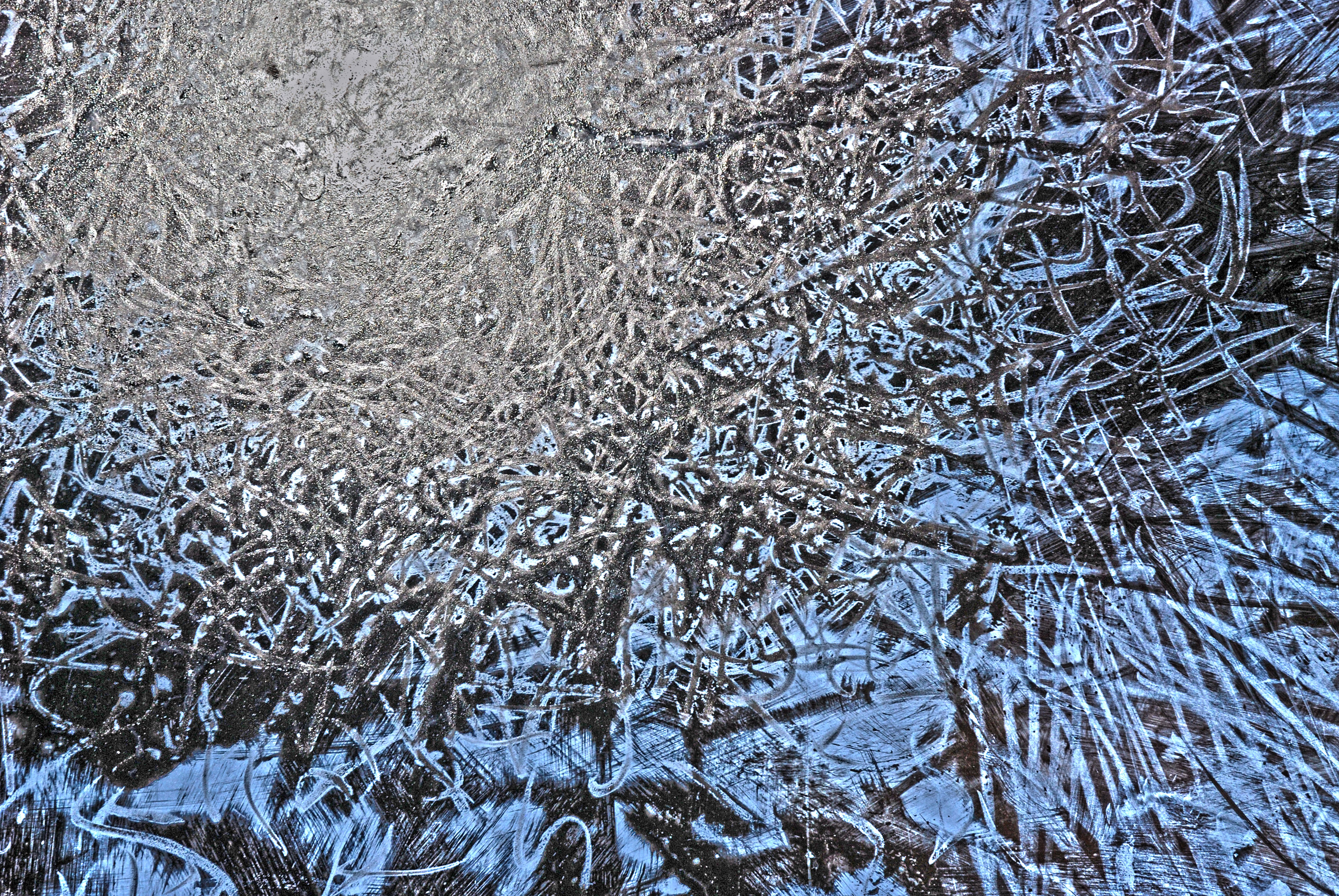 Mapping Scales of Life – Patti Pente